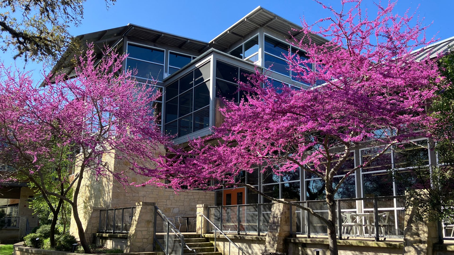 The Complete Guide to Boerne Spring Break - The Boerne Life