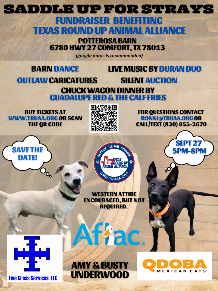 Saddle Up for Strays-Dog Rescue Fundraiser - The Boerne Life